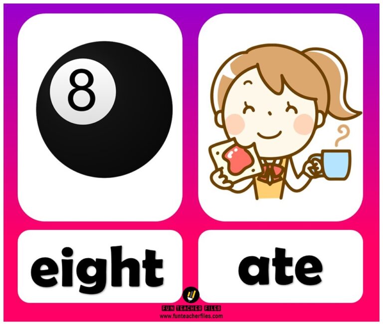 Homonym Picture Cards - Fun Teacher Files