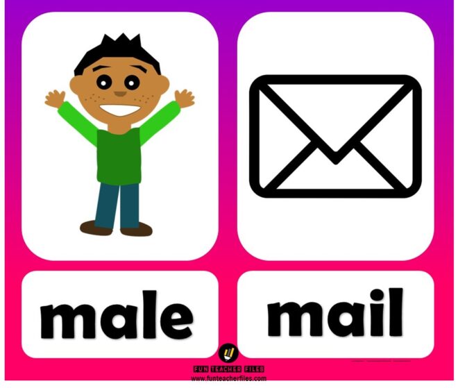 Homonym Picture Cards - Fun Teacher Files
