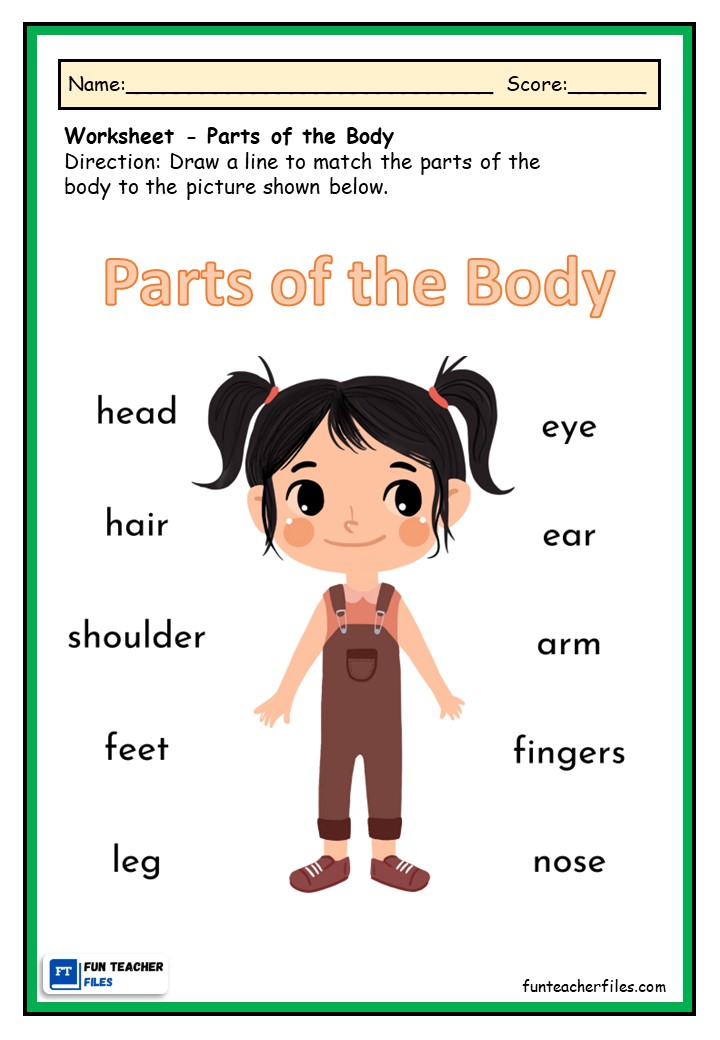 Parts Of The Body Worksheets Fun Teacher Files
