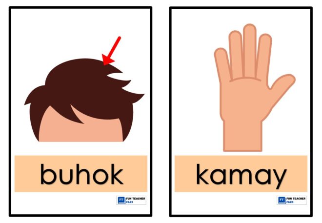 Bahagi ng Katawan Flashcards - Fun Teacher Files