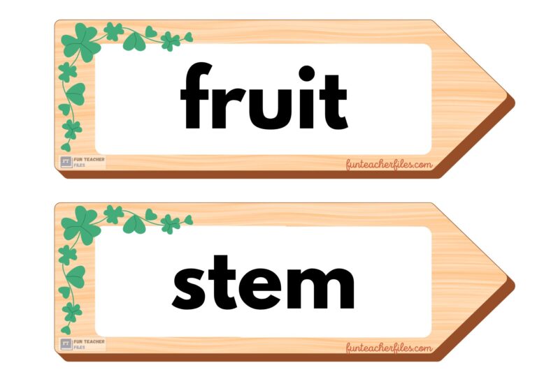 Parts of a Plant Flashcards - Fun Teacher Files