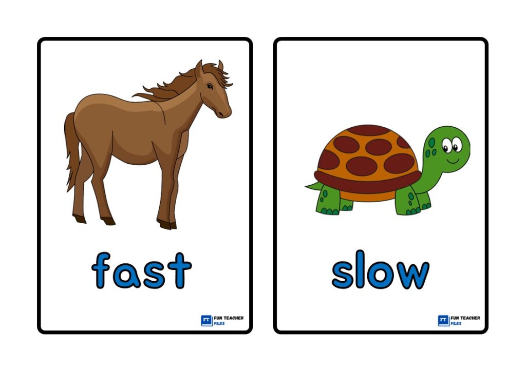 Antonyms Picture Cards Fun Teacher Files Antonyms Picture Cards Fun Teacher Files