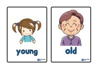 Antonyms Picture Cards - Fun Teacher Files