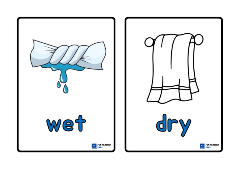 Antonyms Picture Cards - Fun Teacher Files