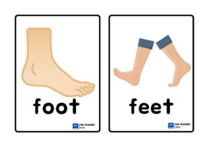 Irregular Plural Nouns Flashcards - Fun Teacher Files