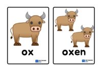 Irregular Plural Nouns Flashcards - Fun Teacher Files