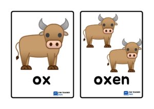 Irregular Plural Nouns Flashcards - Fun Teacher Files