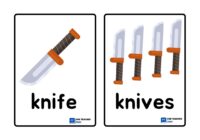 Irregular Plural Nouns Flashcards - Fun Teacher Files
