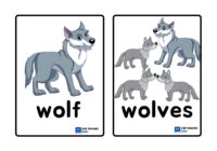 Irregular Plural Nouns Flashcards - Fun Teacher Files