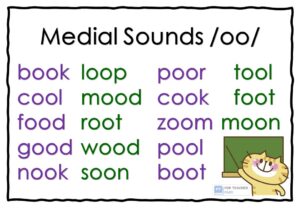 Double Vowels: Ee and Oo Words - Fun Teacher Files