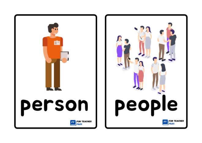 Irregular Plural Nouns Flashcards - Fun Teacher Files