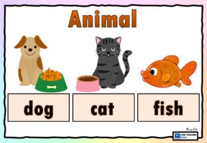 Nouns Picture Cards - Fun Teacher Files