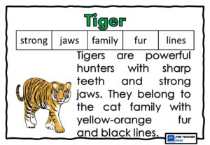 Reading Practice with Sight Words Set 6 – Animals - Fun Teacher Files
