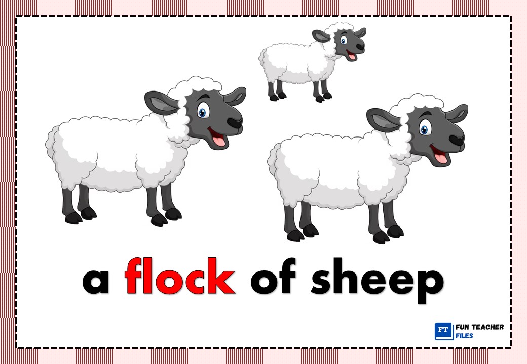 Collective Nouns For Animals Fun Teacher Files Collective Nouns For Animals Fun Teacher Files