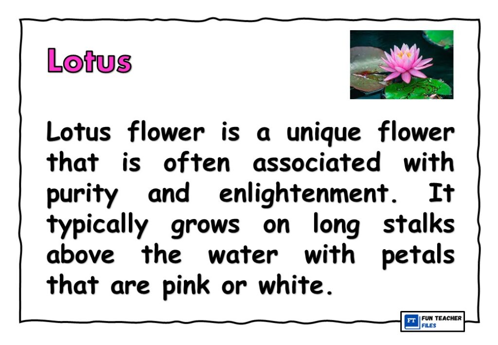 Reading Passages about Flowers - Fun Teacher Files