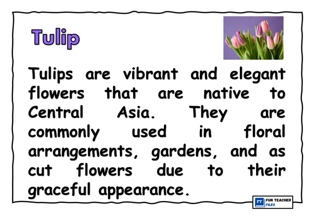 Reading Passages about Flowers - Fun Teacher Files