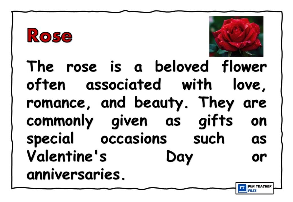Reading Passages about Flowers - Fun Teacher Files