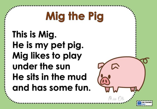 CVC Reading Passages Set 3 - Fun Teacher Files