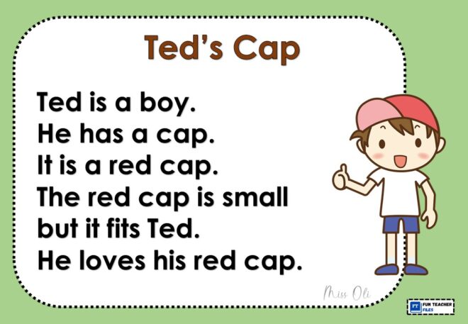 CVC Reading Passages Set 3 - Fun Teacher Files