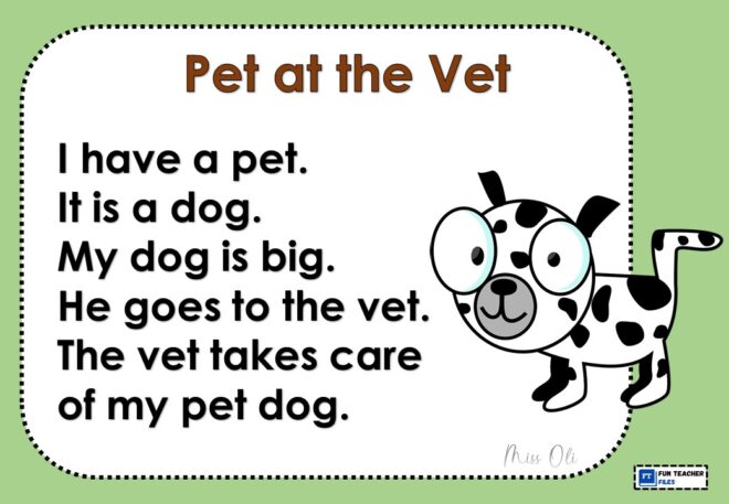 CVC Reading Passages Set 3 - Fun Teacher Files