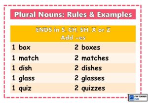 Plural Noun Rules and Examples Chart - Fun Teacher Files