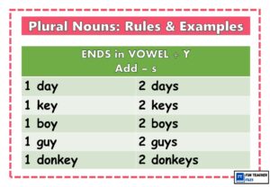 Plural Noun Rules and Examples Chart - Fun Teacher Files