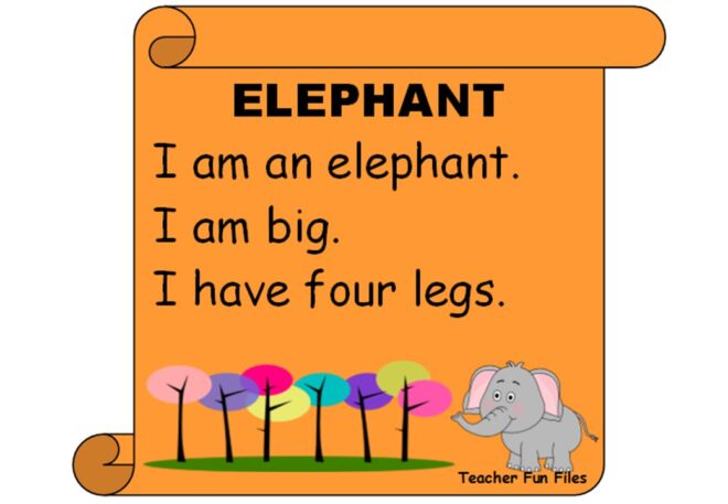 Colorful Reading Passages about Animals - Fun Teacher Files