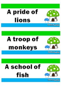 Collective Nouns for Animals Set 2 - Fun Teacher Files