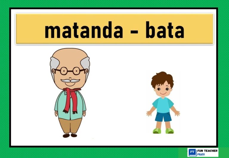 Salitang Magkasalungat Flashcard 2 - Fun Teacher Files
