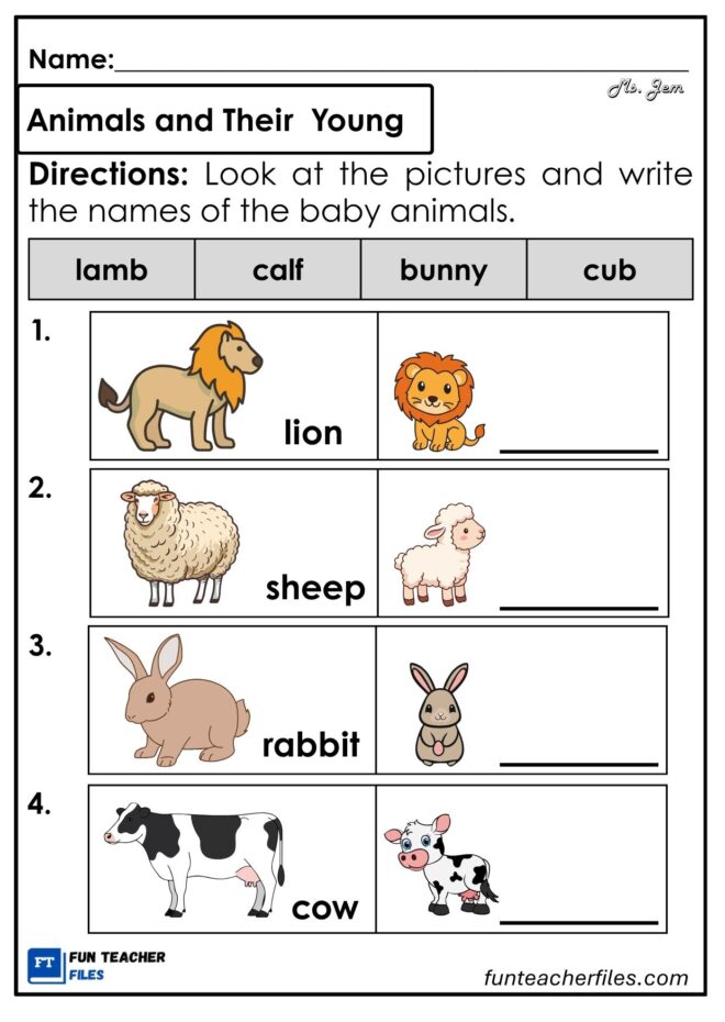 Animals and their Young Worksheet 1 - Fun Teacher Files