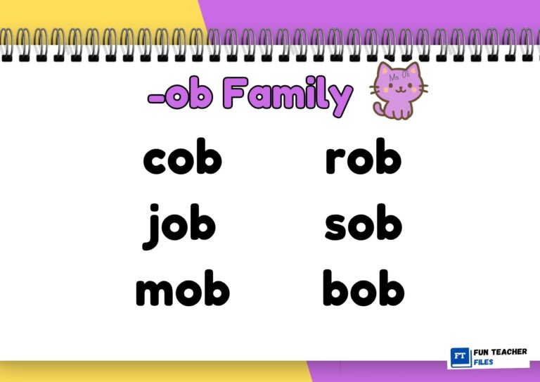 CVC Short o Word Family Set 1 - Fun Teacher Files